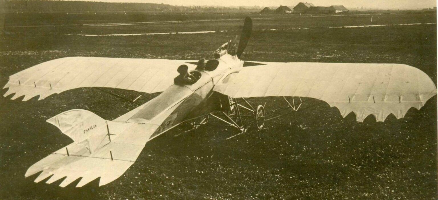 A History of Aviation from Icarus to the Moon - Flight Birds